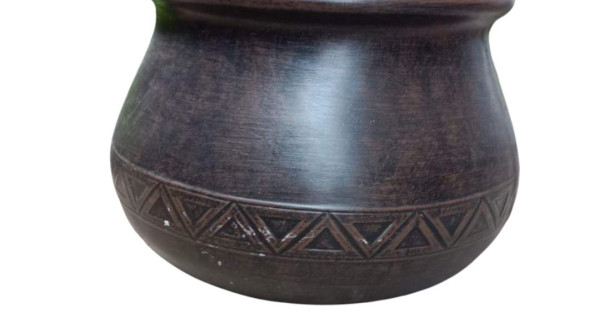 Pot Plant - Ulundi Medium